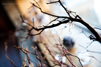 Pick Me! Floral and Event Design Studio: Angel and Cyriac - Devils ...